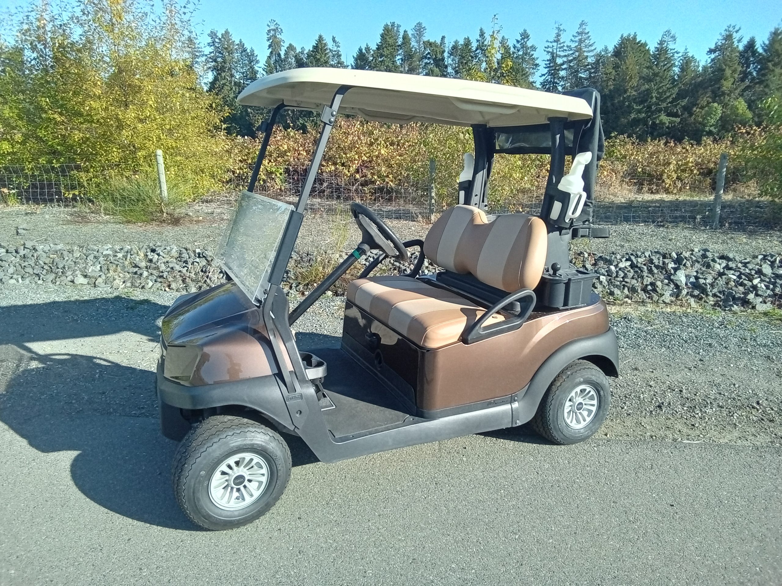 2021 Tempo Electric, Metallic Mocha - Isle Golf Cars Inc.